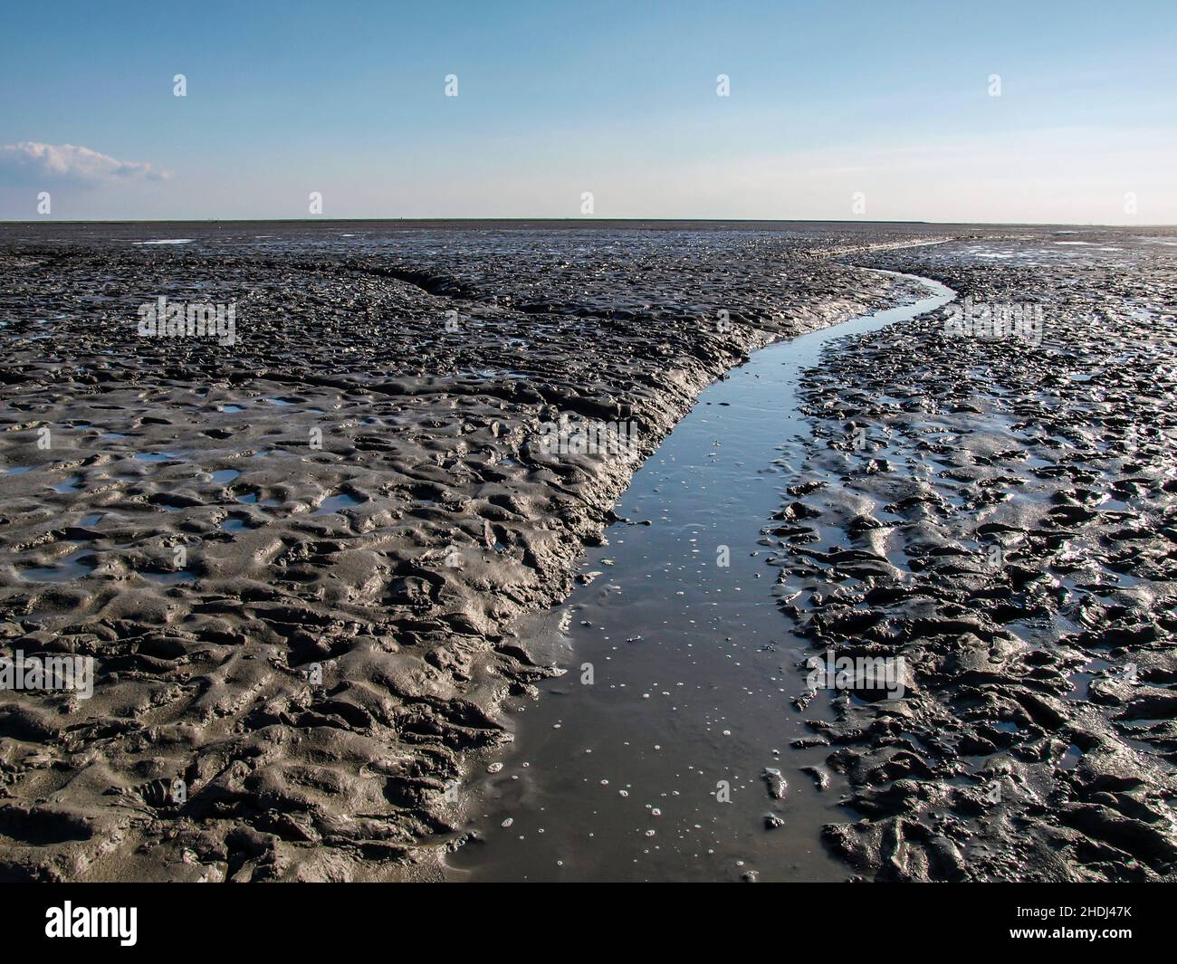 watt, mud, watts, muds Stock Photo - Alamy