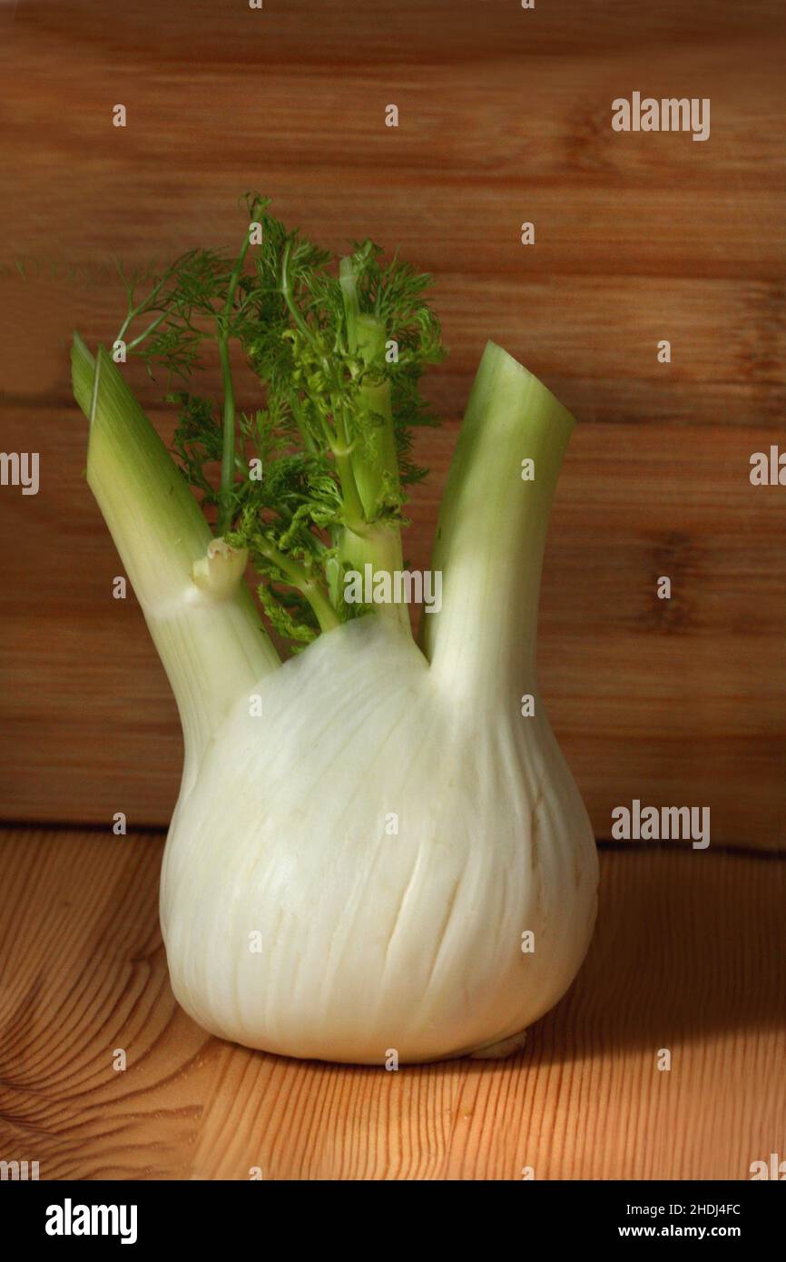 fennel, fennel bulb, fennels, fennel bulbs Stock Photo - Alamy