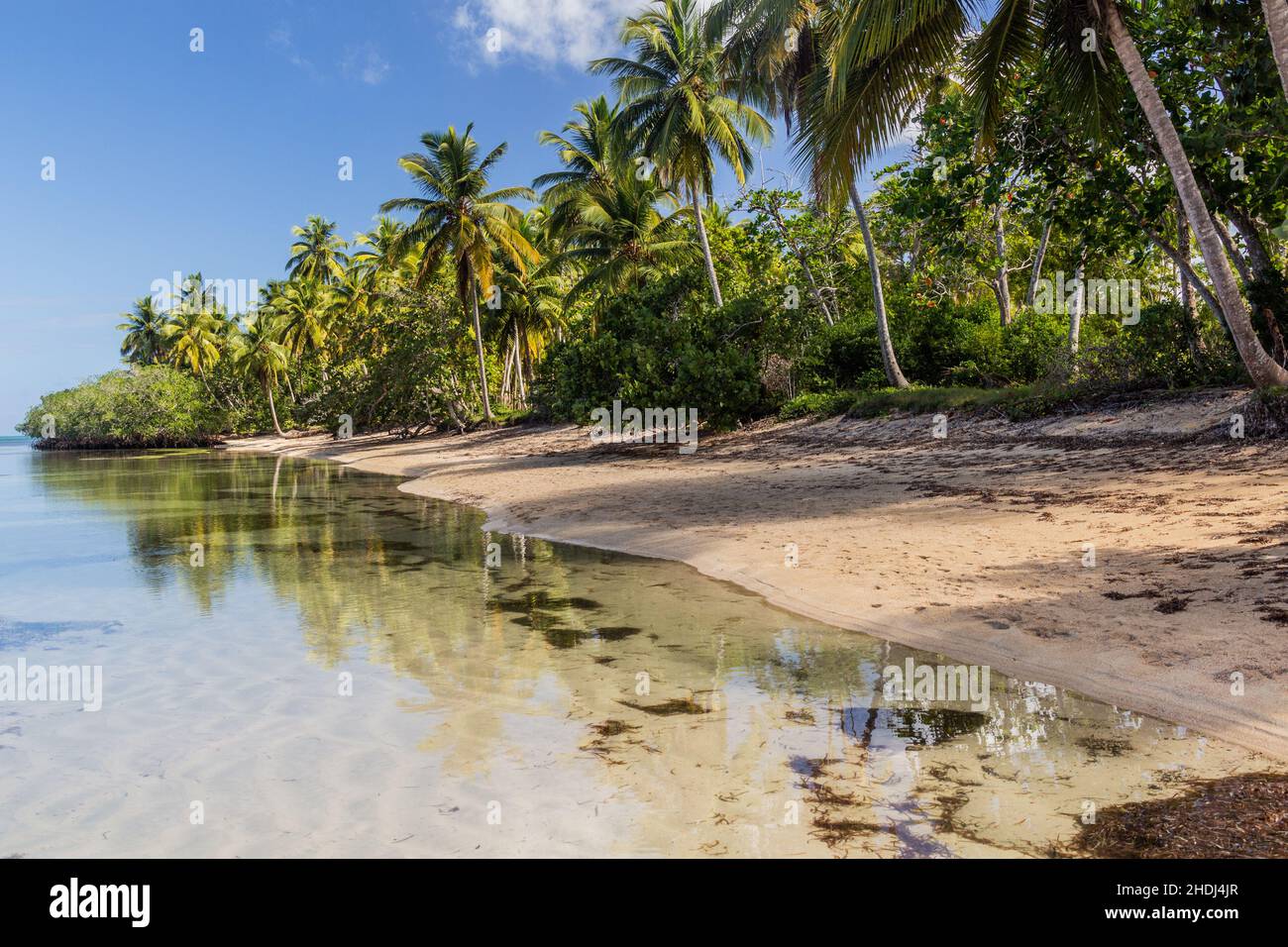 Beach in Las Terrenas, Dominican Republic Stock Photo - Alamy