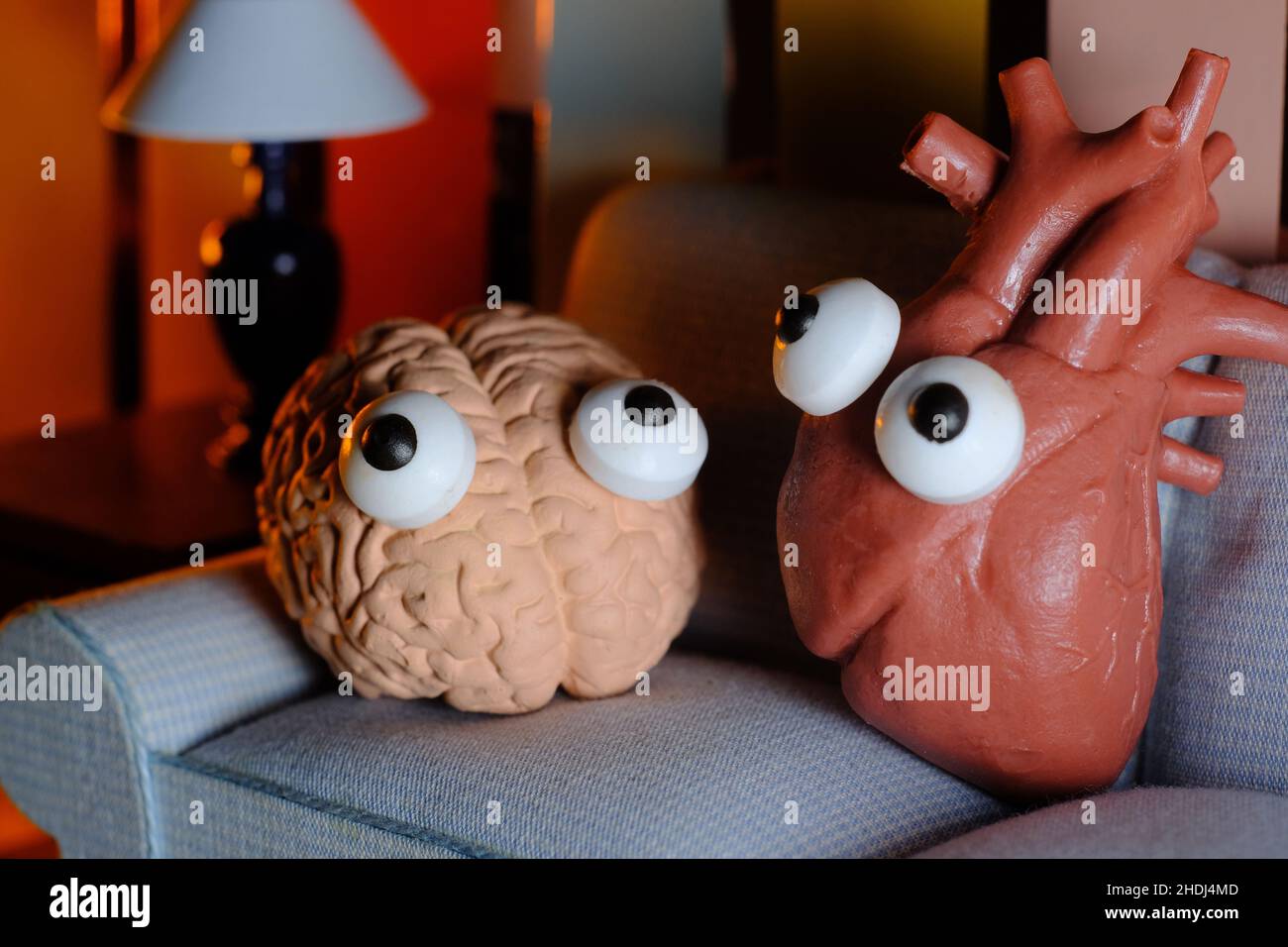 Different parts of the brain hi-res stock photography and images - Alamy