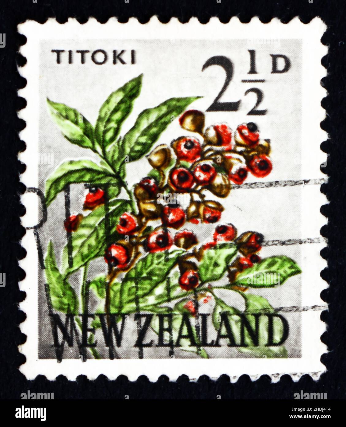 NEW ZEALAND - CIRCA 1961: a stamp printed in the New Zealand shows ...