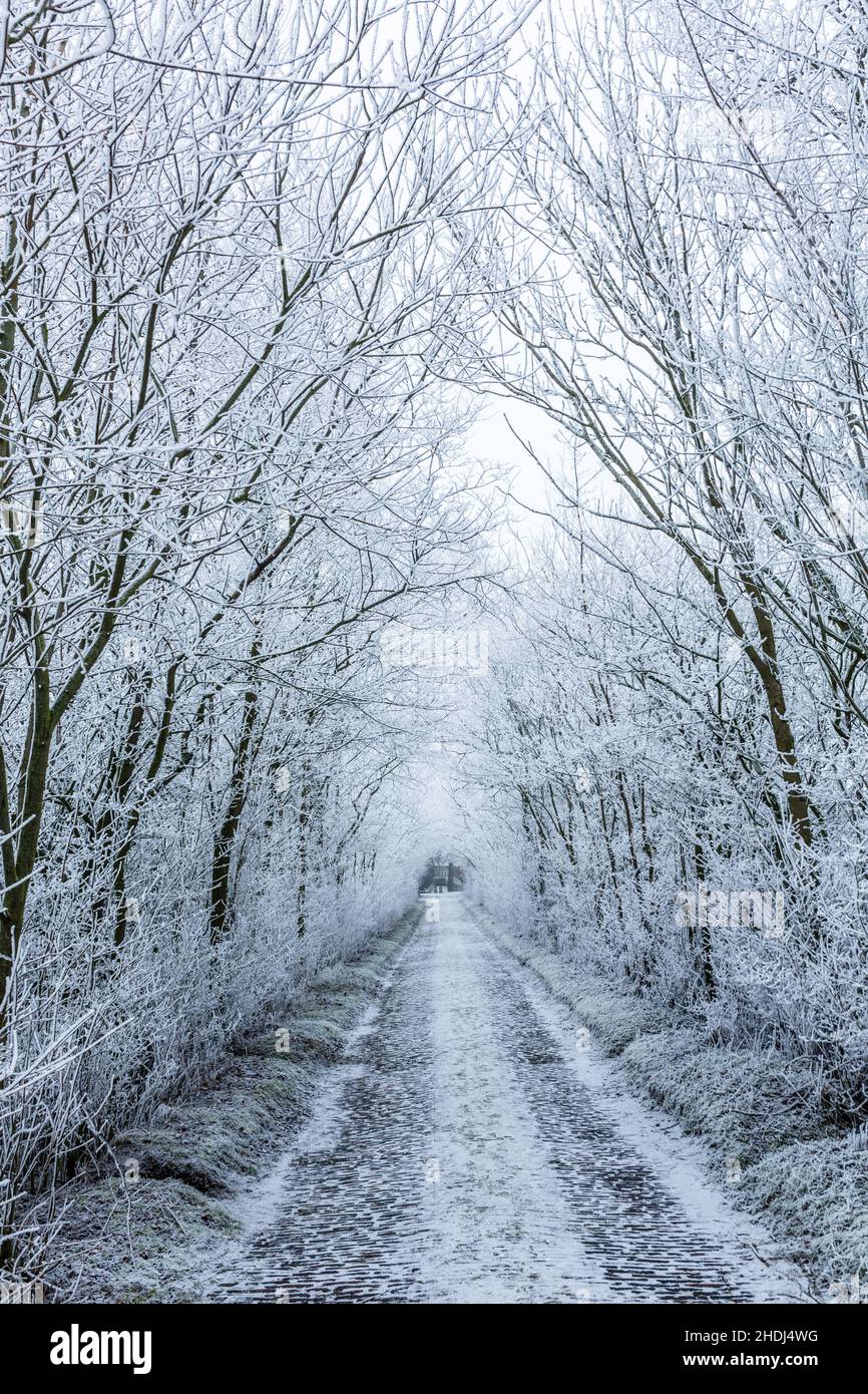 Frozen alleys hi-res stock photography and images - Alamy