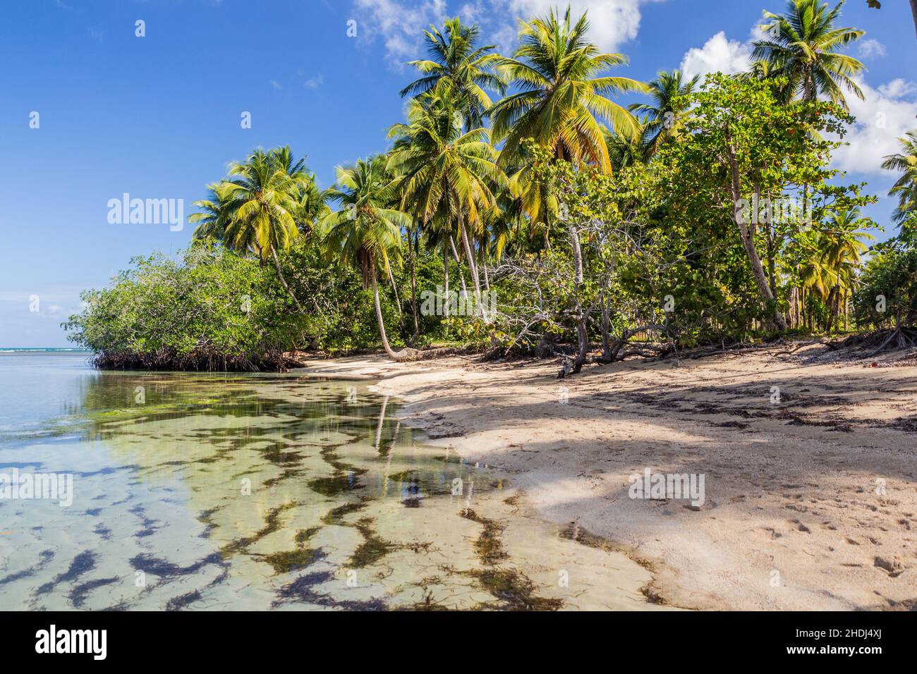 Beach in Las Terrenas, Dominican Republic Stock Photo - Alamy