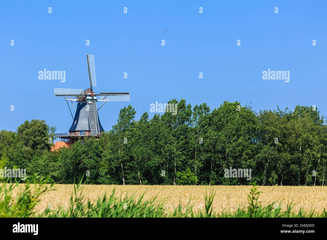 windmill, gallery dutch, windmills Stock Photo - Alamy