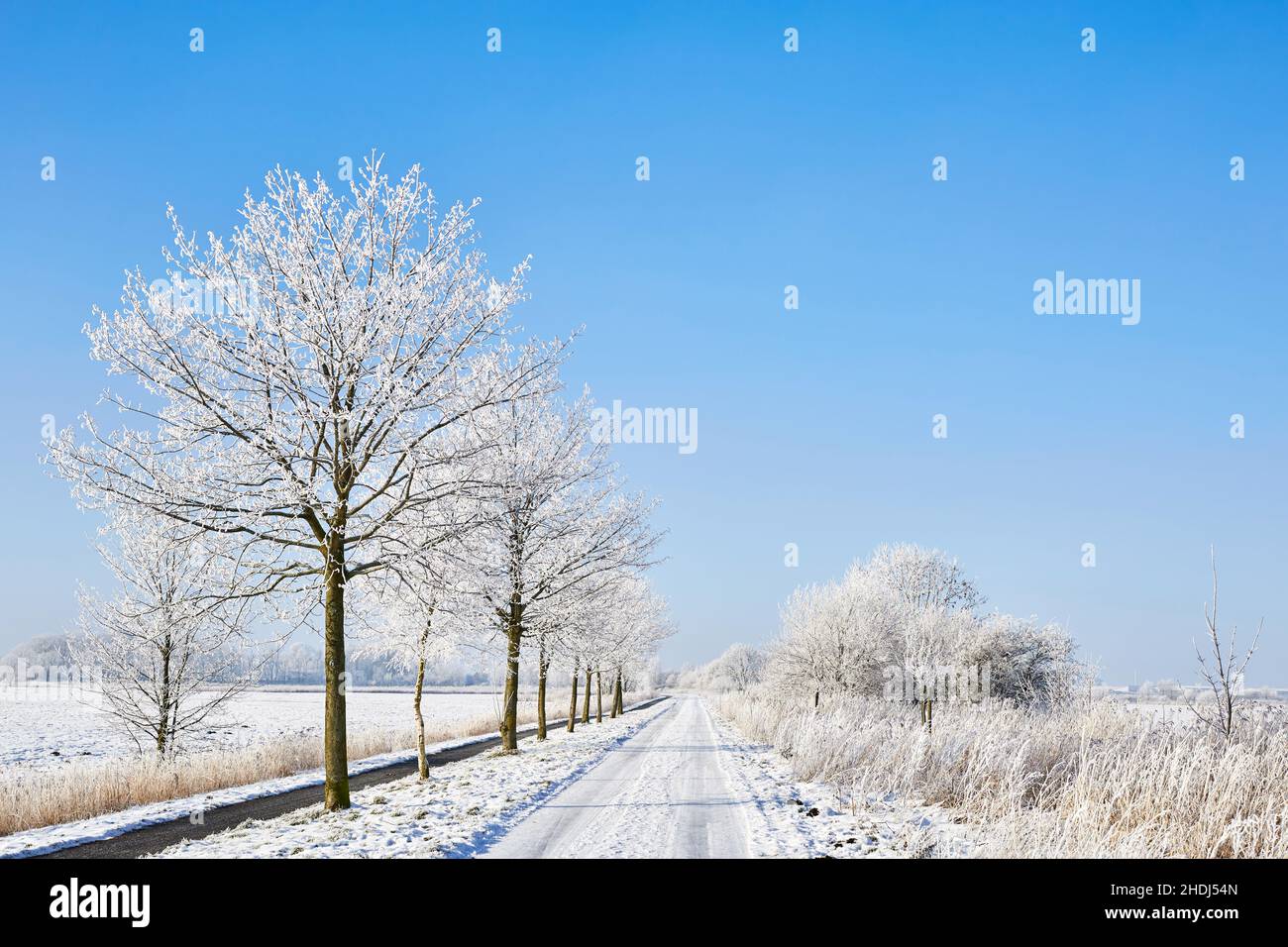 Frieslands hi-res stock photography and images - Alamy