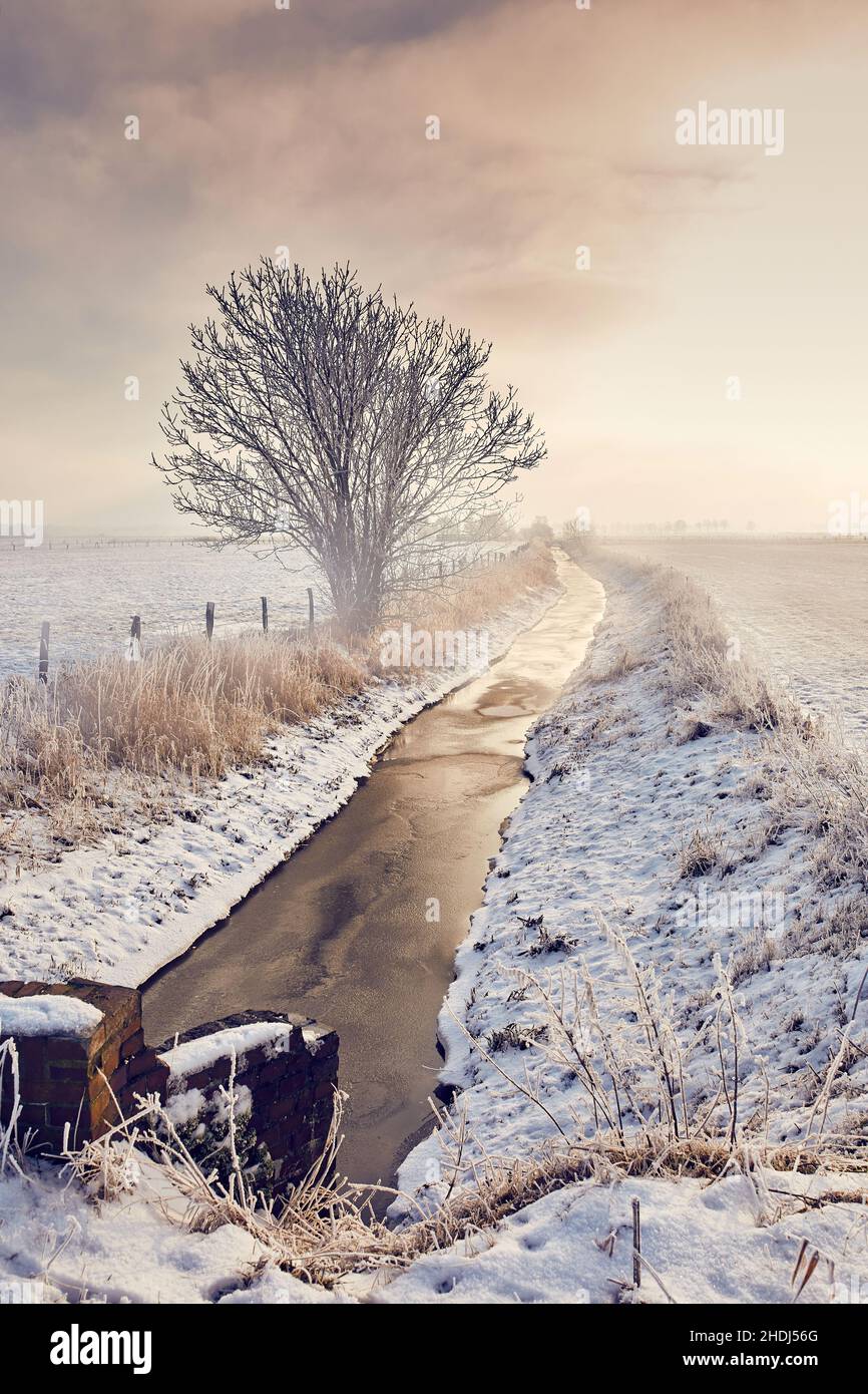 sunlight, winter landscape, frost, sun ray, sun rays, sunbeam, sunbeams ...