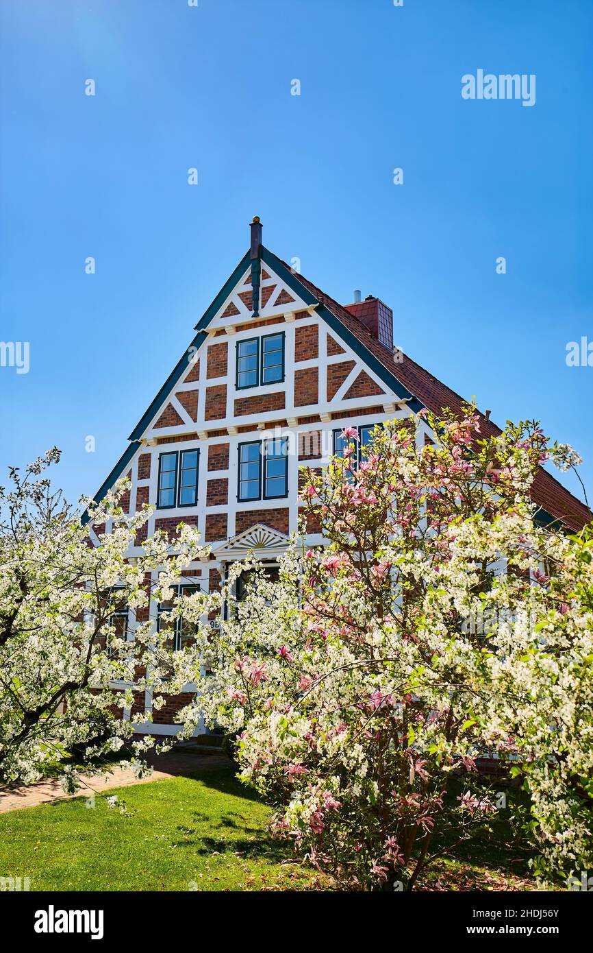 Half blossom hi-res stock photography and images - Alamy