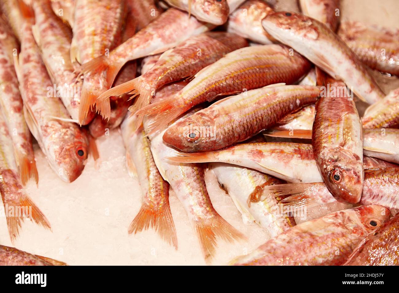 prepared fish, prepared fishs Stock Photo - Alamy