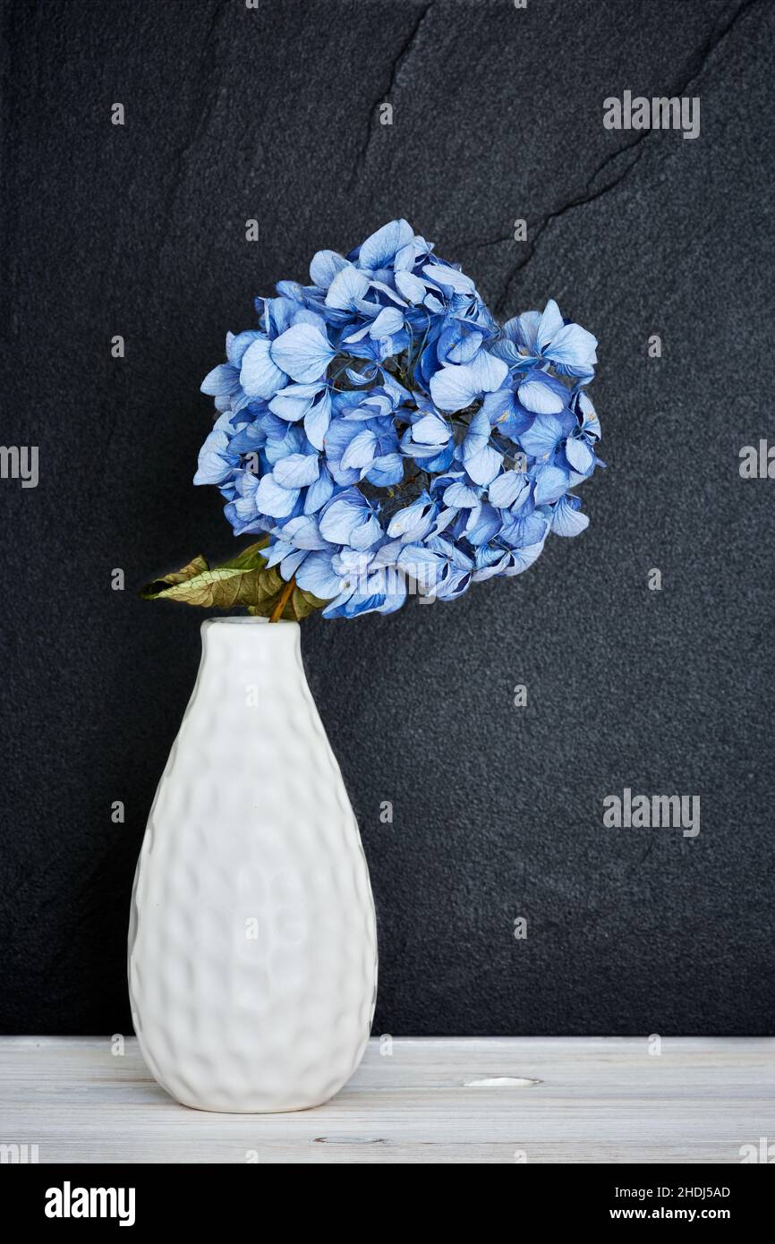 flower vase, hydrangea, vases, hydrangeas Stock Photo - Alamy