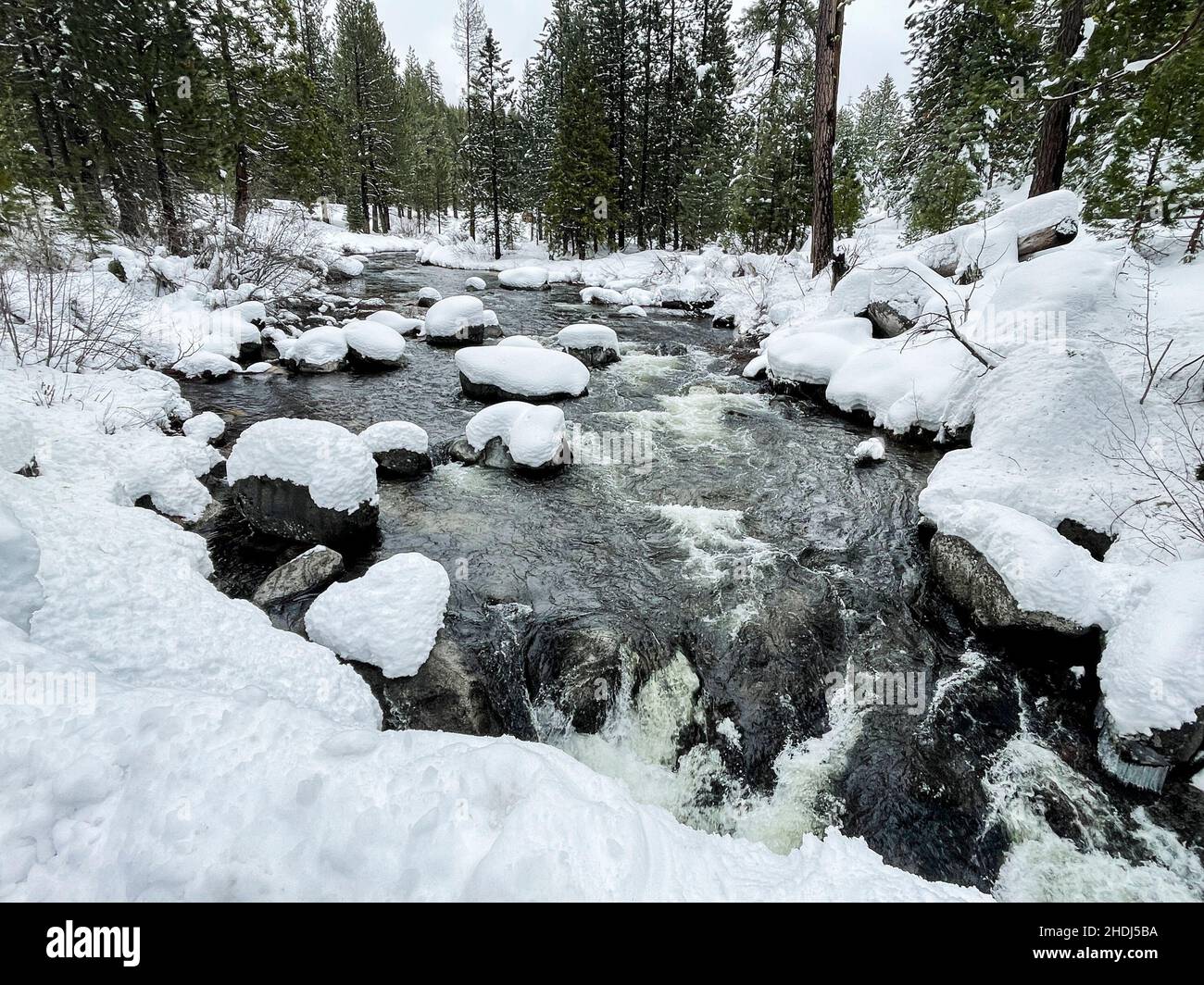 Pinecrest, CA, U.S.A. 31st Dec, 2021. A winter wonderland view of the ...
