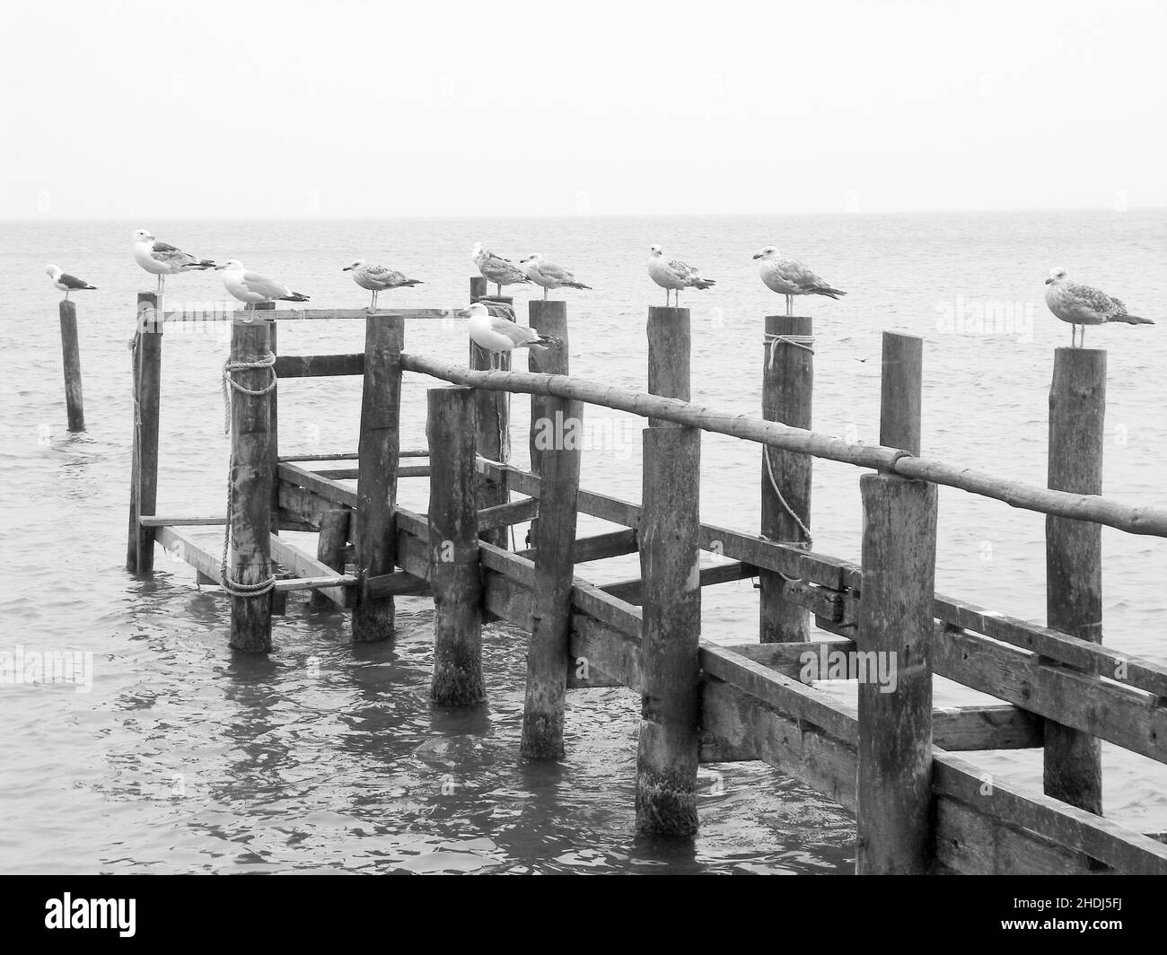 Sea side postcards hi-res stock photography and images - Alamy