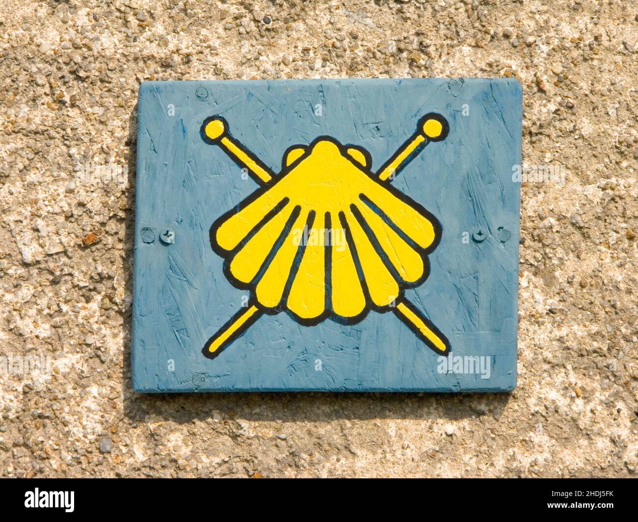 pilgrims, pilgrim, scallop, scallops Stock Photo - Alamy