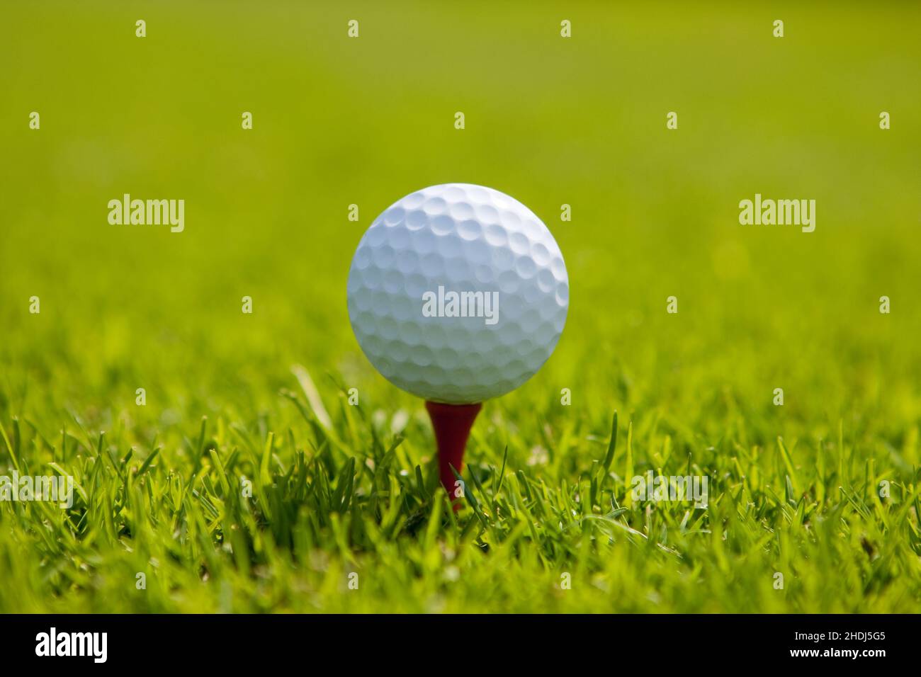 golf, golf ball, golfs, golf balls Stock Photo - Alamy