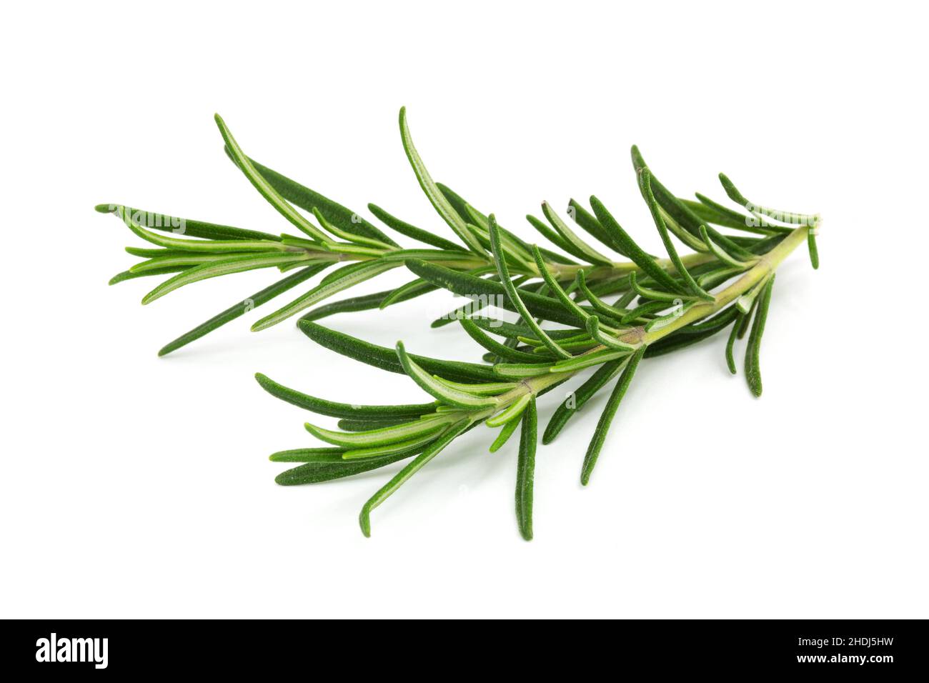 Rosemary branchs hi-res stock photography and images - Alamy
