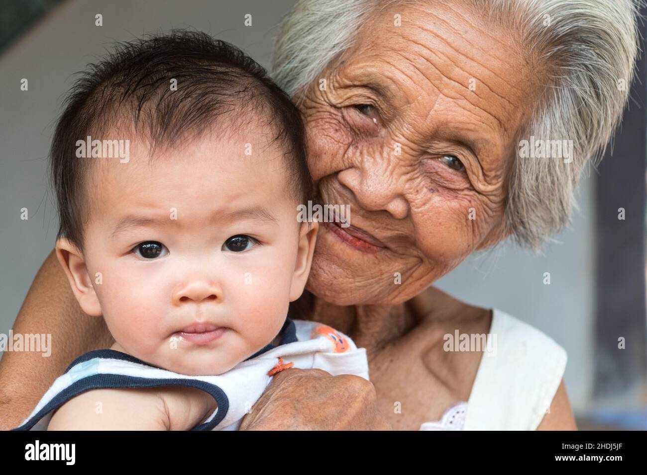 baby, generation, great grandmother, babe, babies, human babies ...