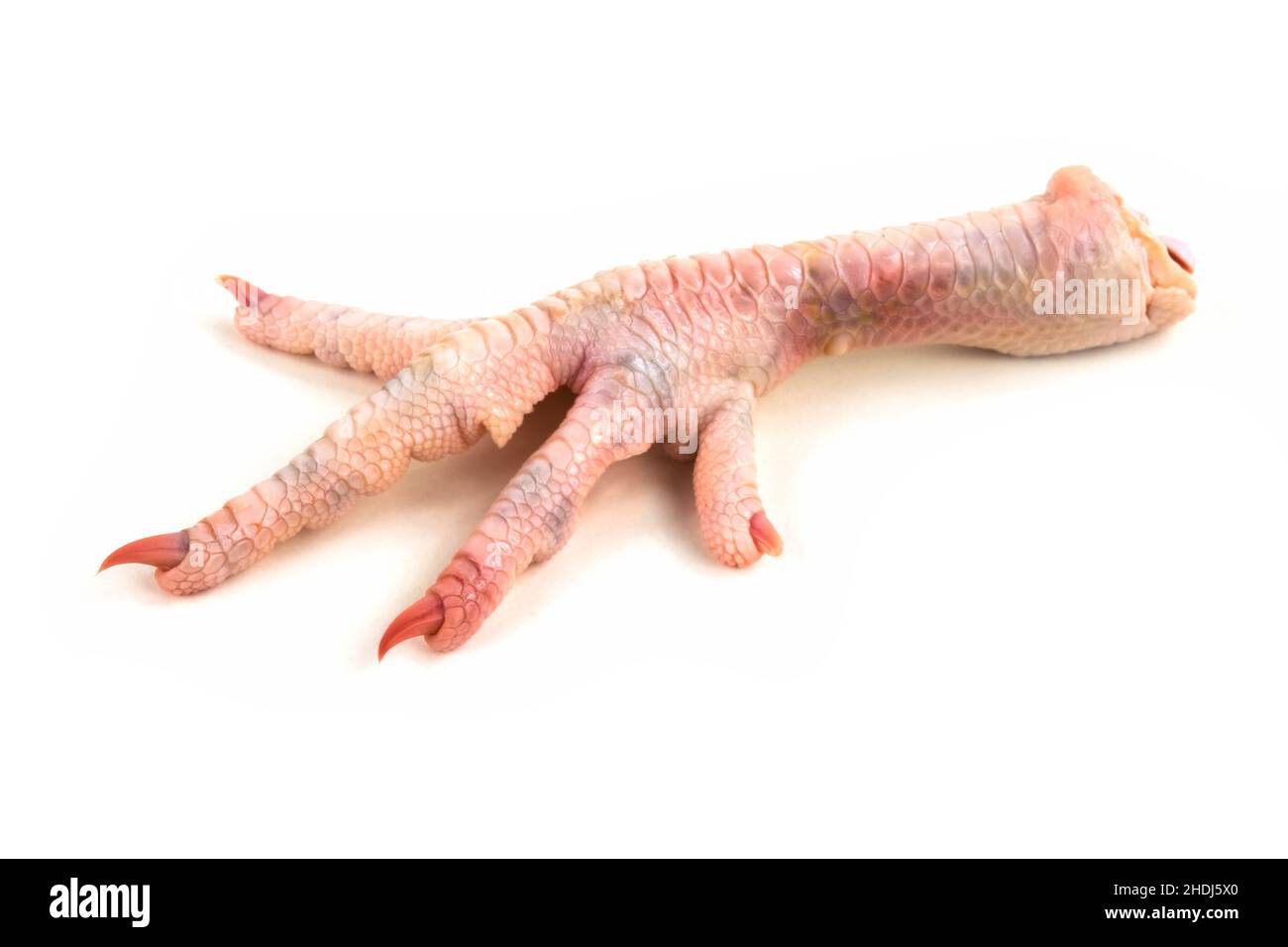 The foot Cut Out Stock Images & Pictures - Alamy