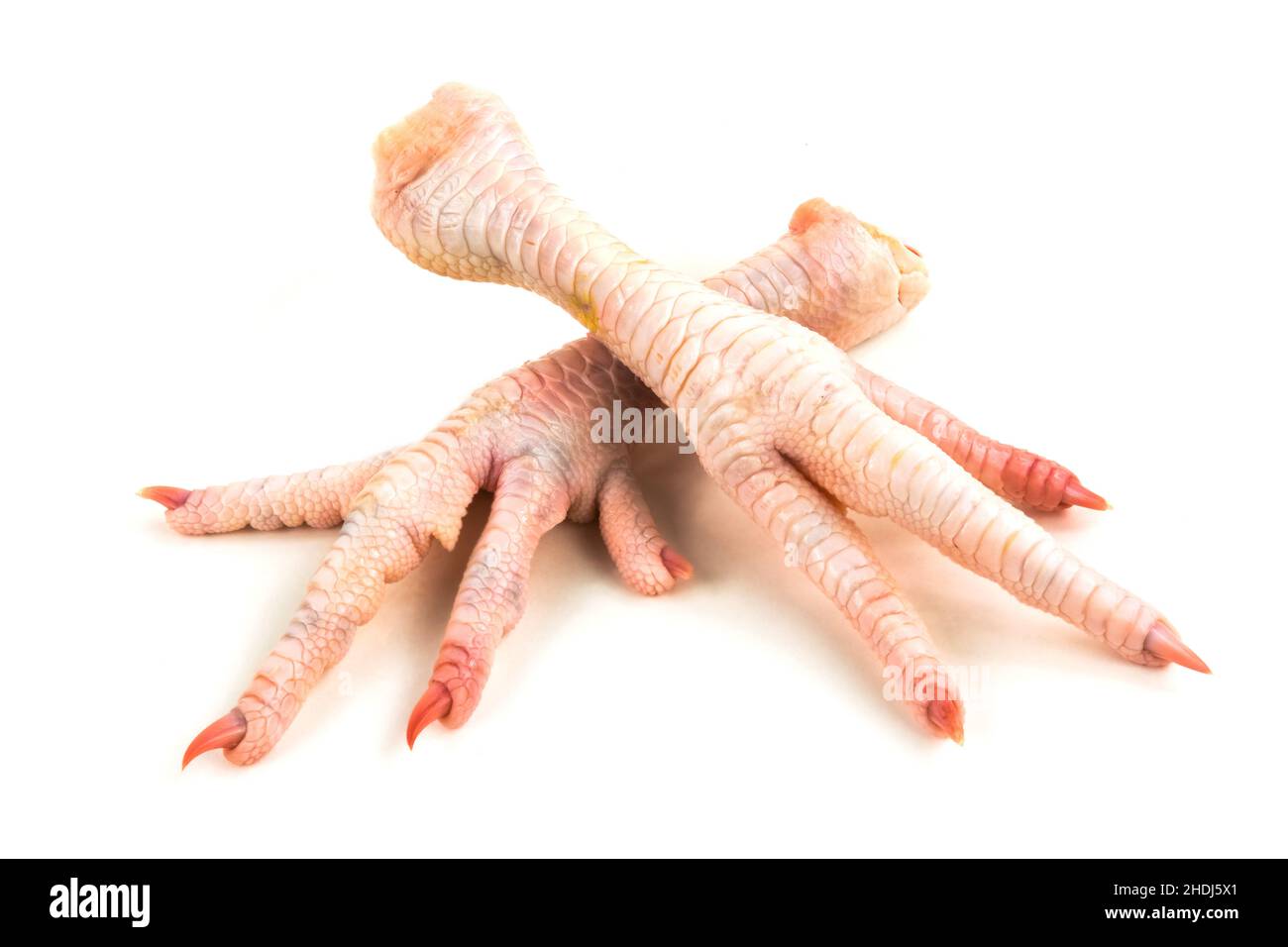 Chicken foot hi-res stock photography and images - Alamy
