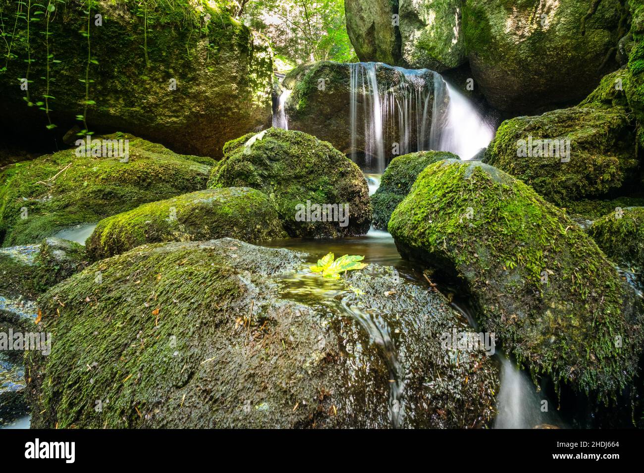 nature, waterfall, forest, natur, natures, cascade, waterfalls, forests ...