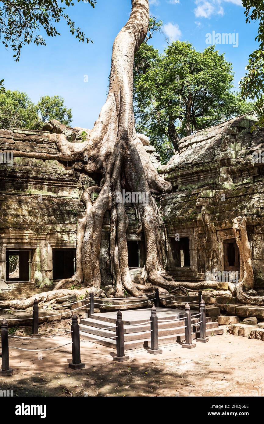 Ta prohms hi-res stock photography and images - Alamy