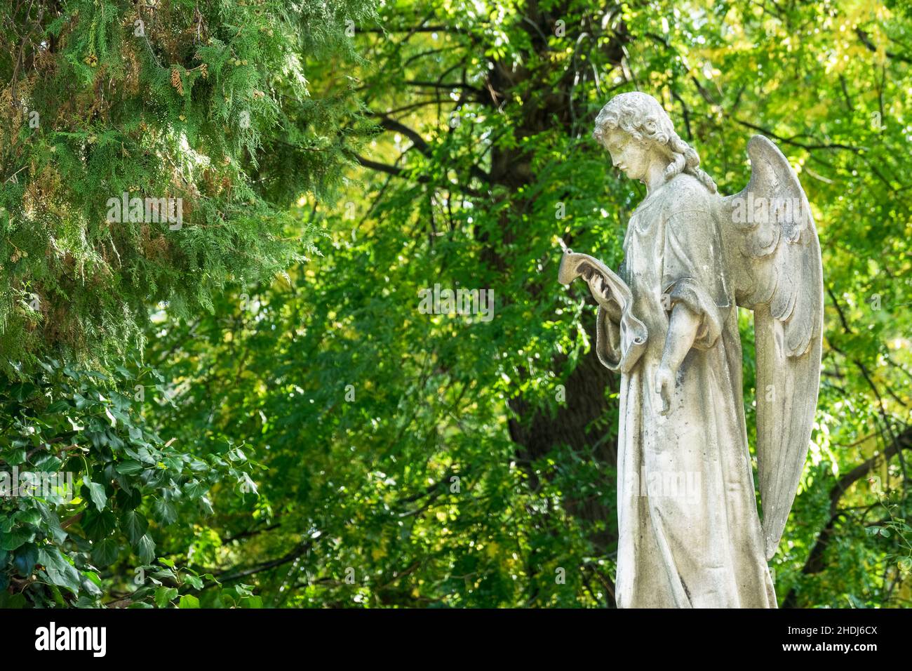 Death angels hi-res stock photography and images - Alamy