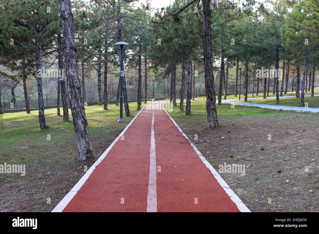 Running track, running track in the forest. Red treadmill in the nature ...