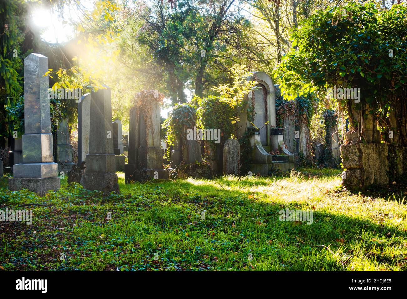 cemetery, jewish cemetery, cemeteries, jewish cemeteries Stock Photo ...