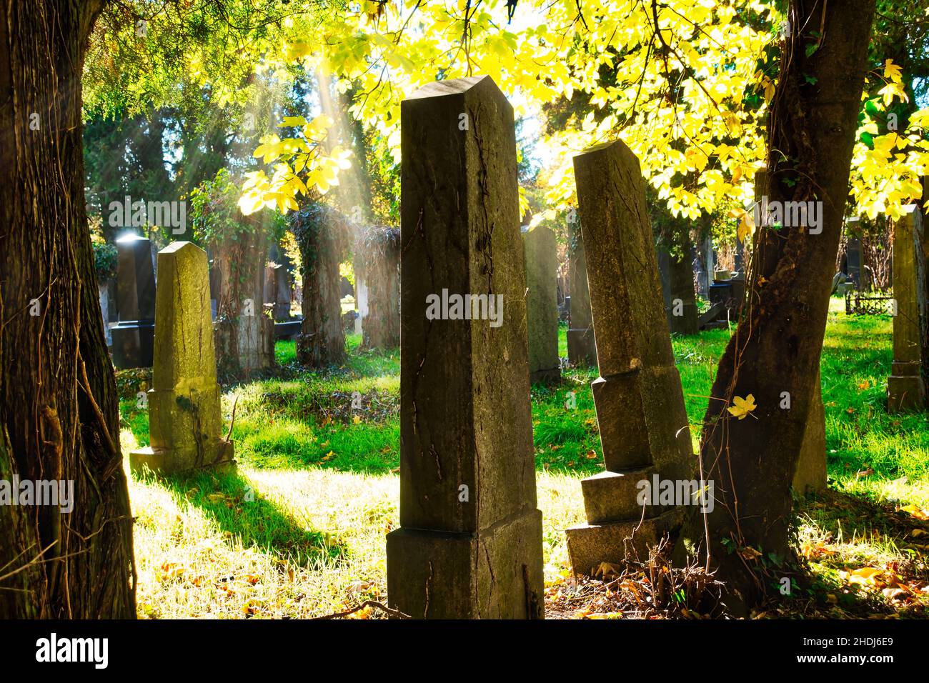 cemetery, gravestone, jewish cemetery, cemeteries, gravestones ...