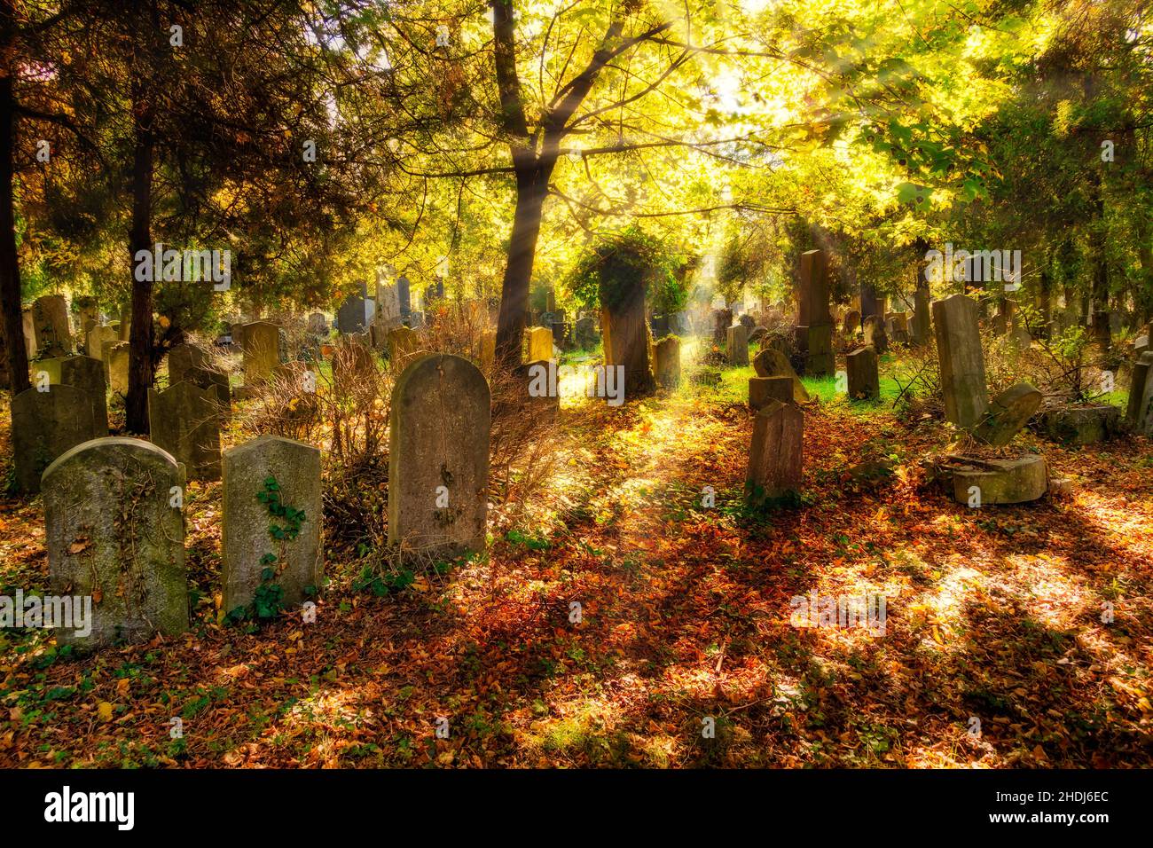 hope & religion, cemetery, jewish cemetery, hope & religions, hope and religion, cemeteries ...