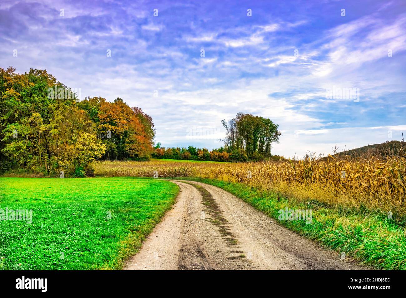 footpath, field, dirt, footpaths, fields, dirts, filths Stock Photo - Alamy