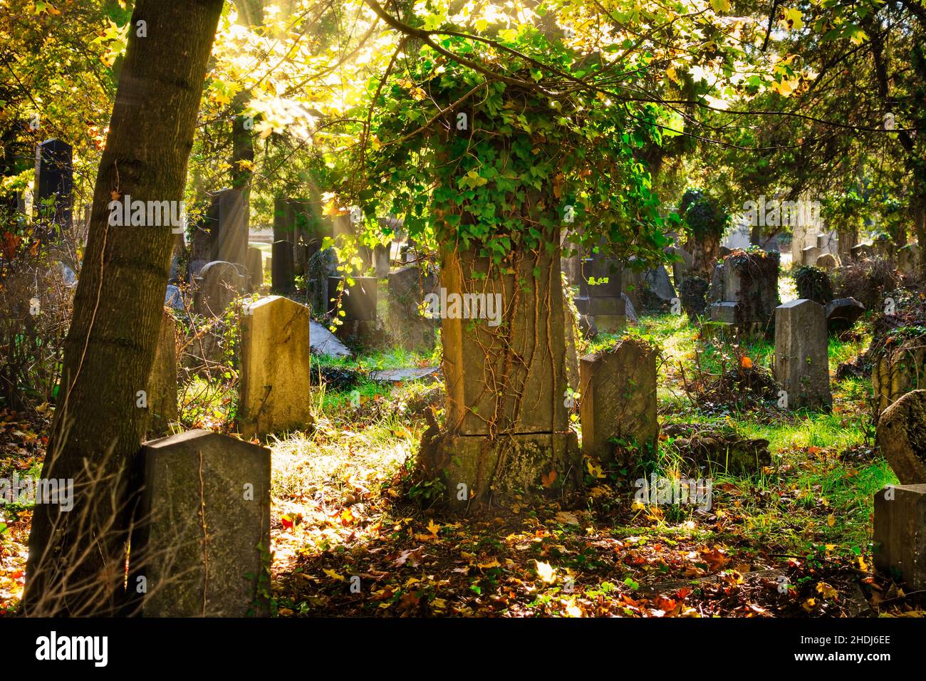 cemetery, gravestone, jewish cemetery, cemeteries, gravestones ...
