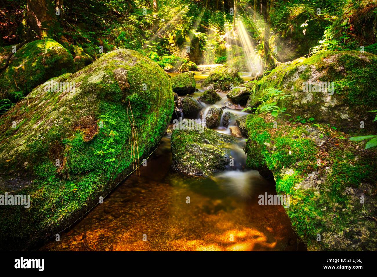 sunbeams, mountain stream, sun beams, sun ray, sun rays, sunbeam ...