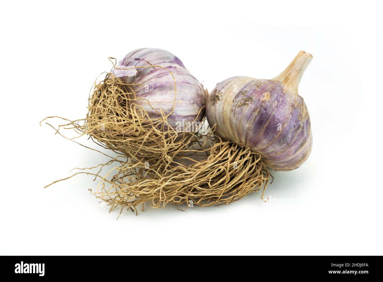 garlic, garlic onion, garlics, onion Stock Photo - Alamy