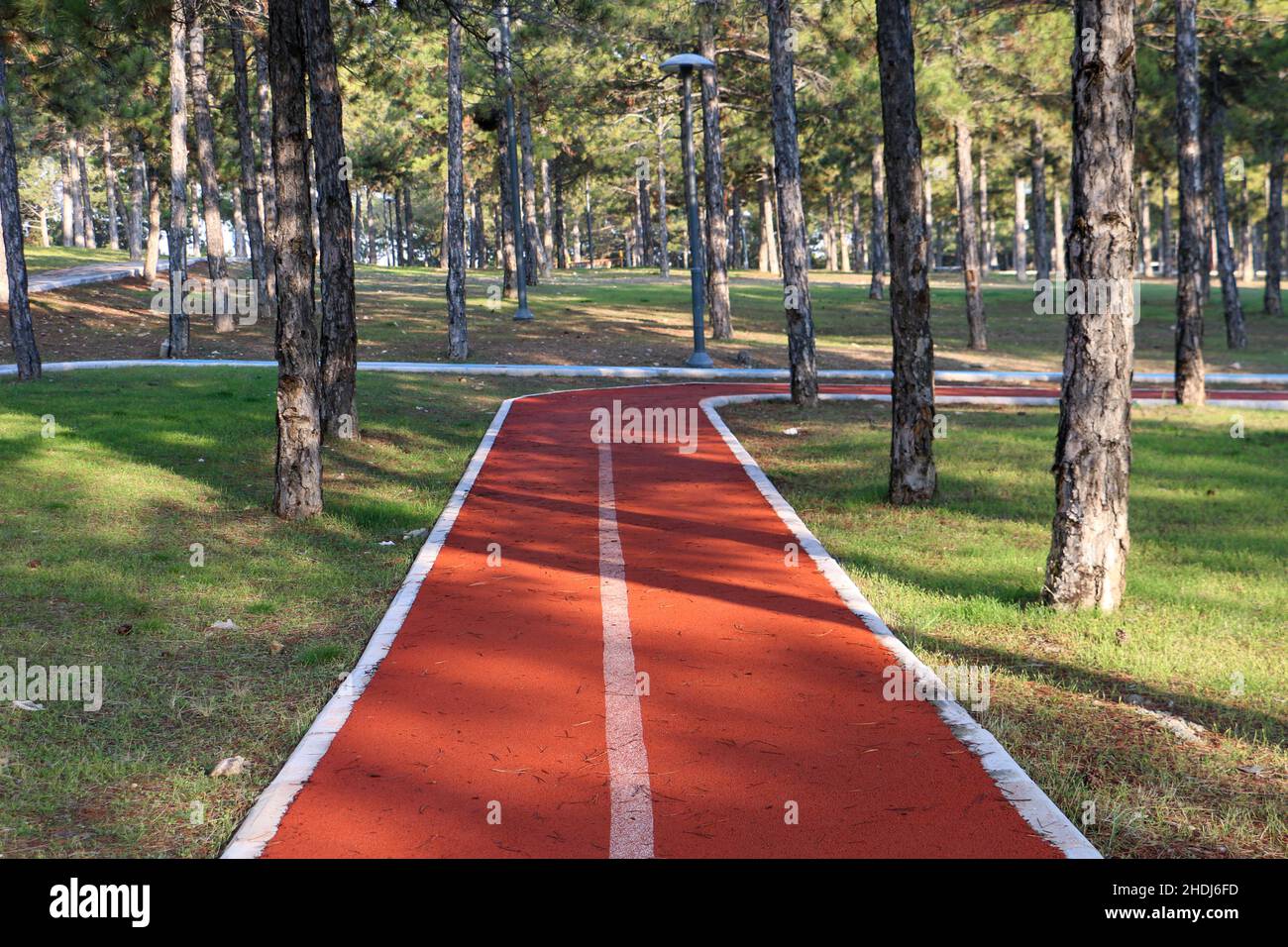 Running track, running track in the forest. Red treadmill and blue ...
