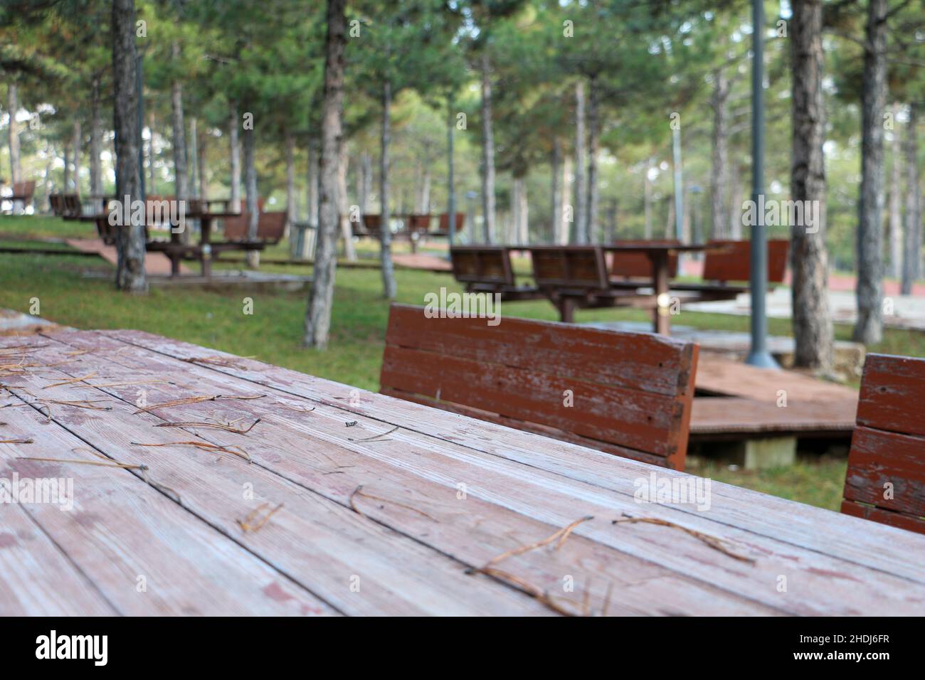 Picnic and barbeque area, picnic table and outdoor activity park ...
