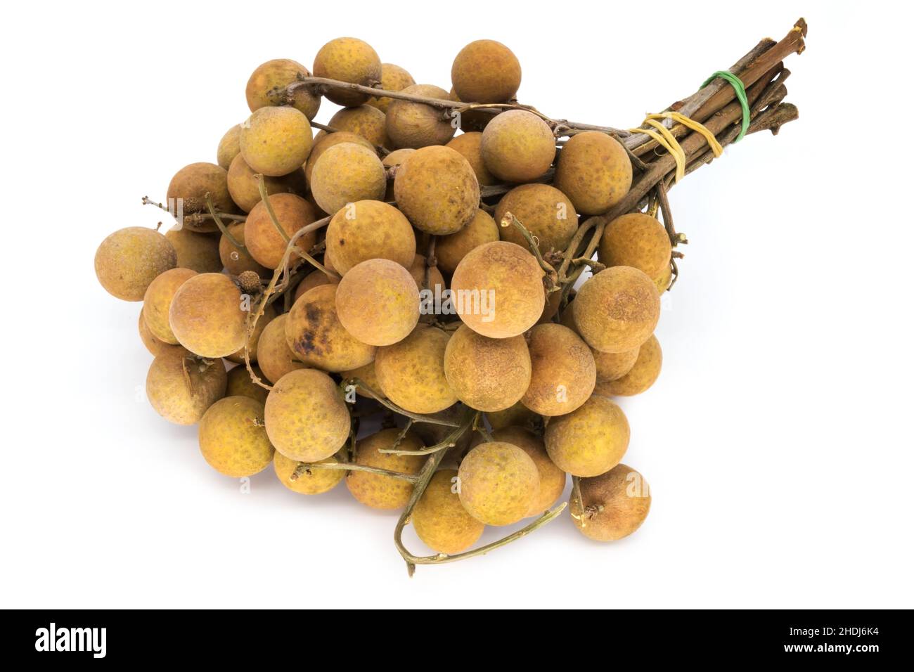 Tropicals Cut Out Stock Images & Pictures - Alamy