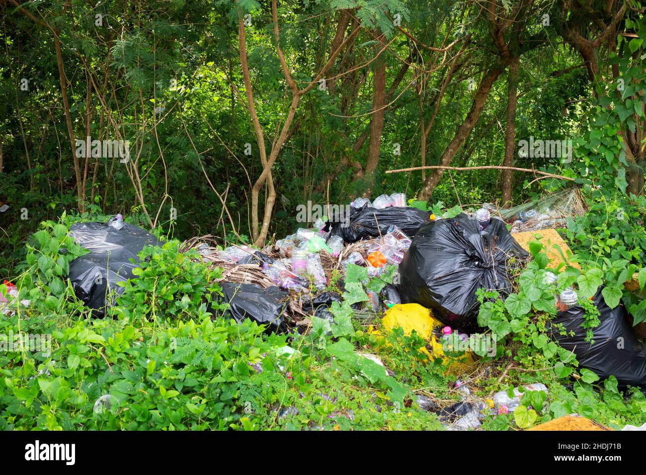 pollution, waste, plastic trash, pollutions, wastes, plastic trashs ...