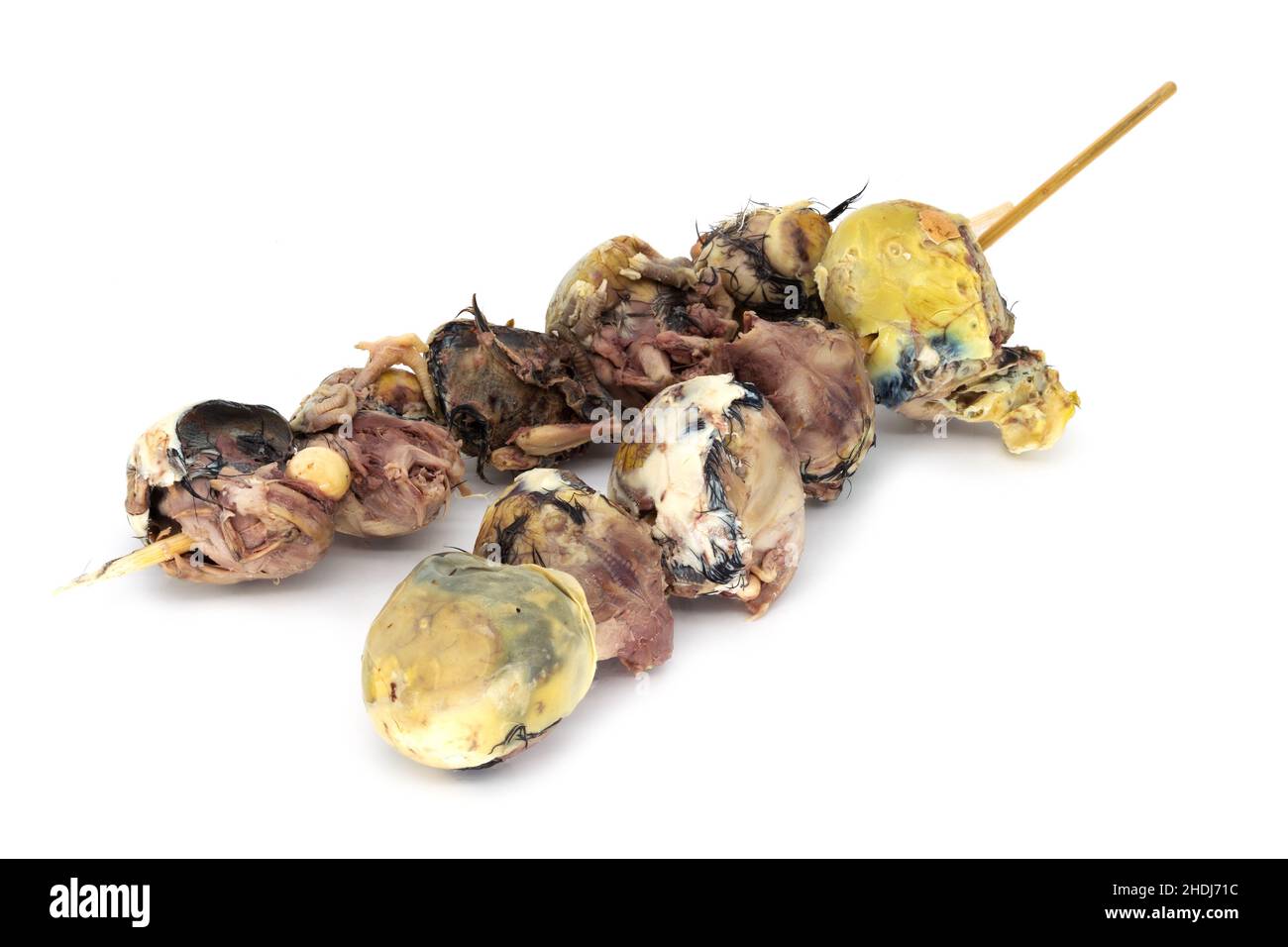 Duck embryo hi-res stock photography and images - Alamy