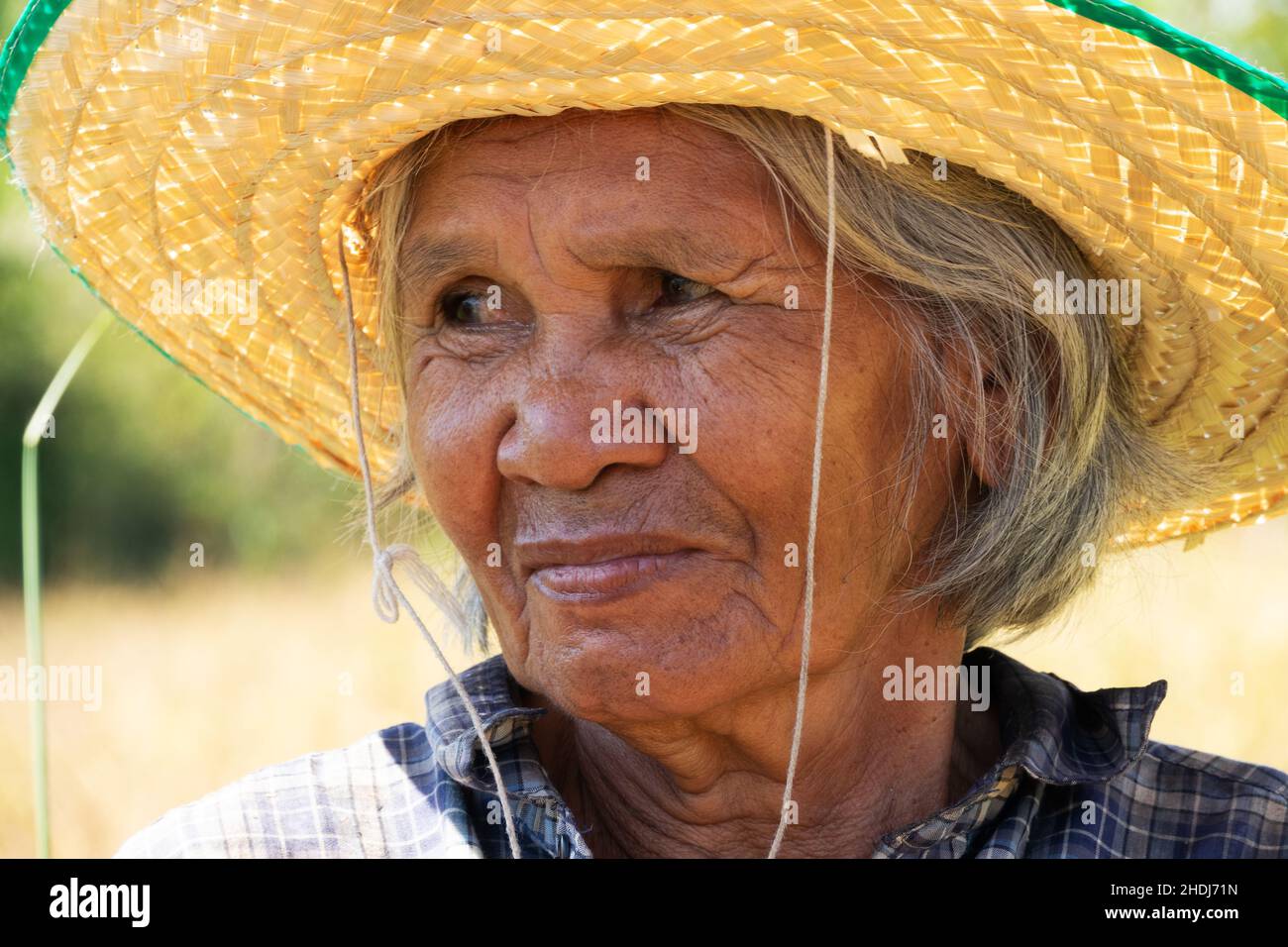 woman, farmer, asian, female, ladies, lady, women, farmers, asia ...