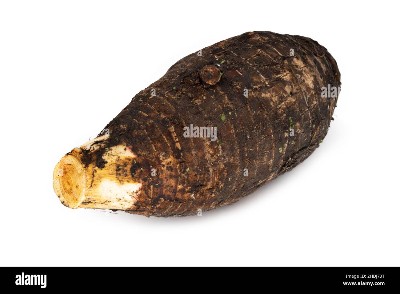 tuber, taro, tubers Stock Photo - Alamy