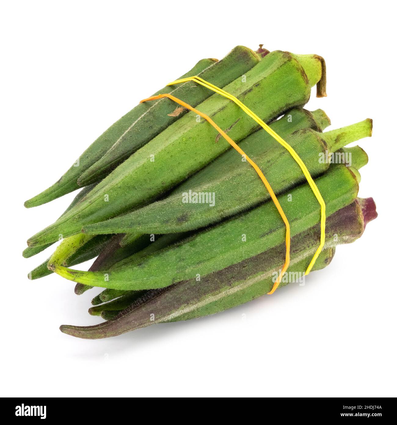 Okras on the okra plants Cut Out Stock Images & Pictures - Alamy