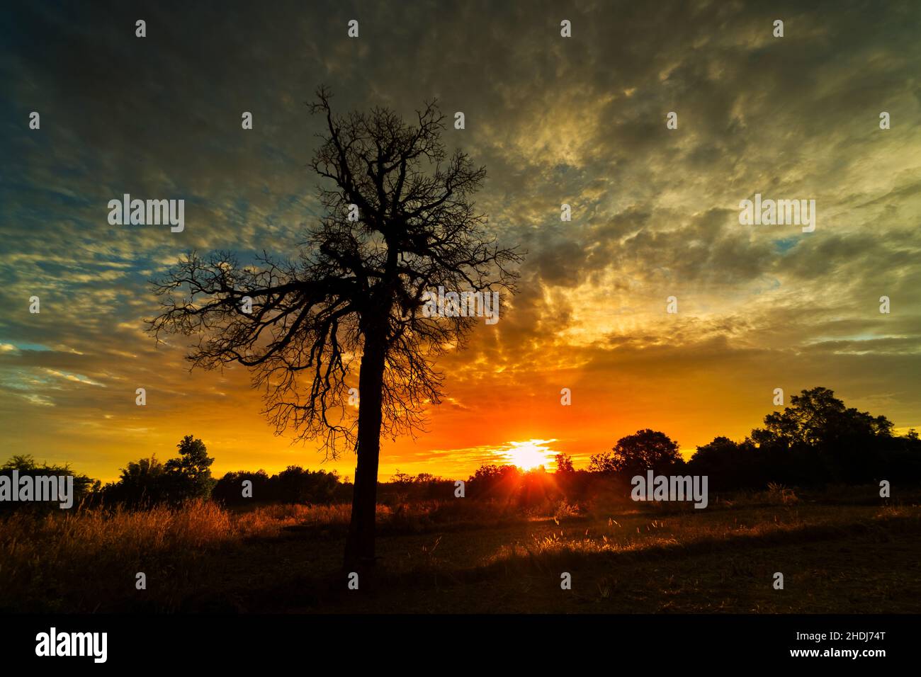 sunrise, silhouette, sun rises, sunrises, silhouettes Stock Photo - Alamy