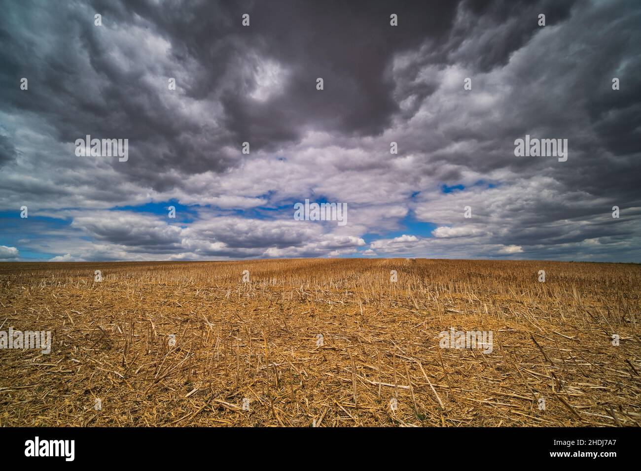 arable, field stubble, arables, field stubbles Stock Photo - Alamy
