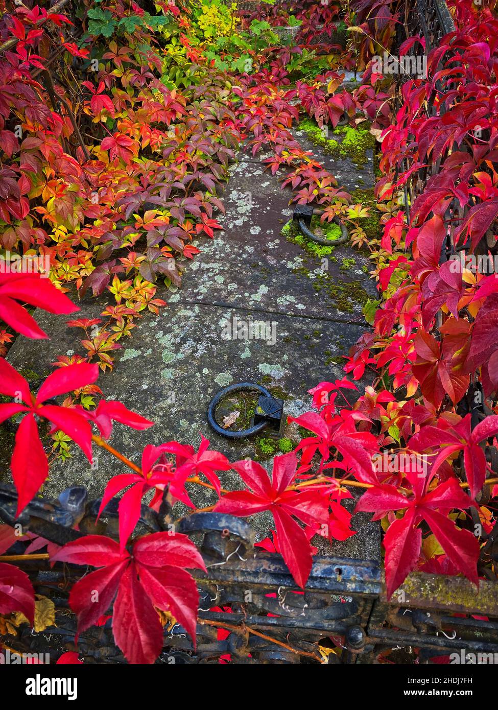 tomb, grave stone, tombs, grave stones Stock Photo - Alamy