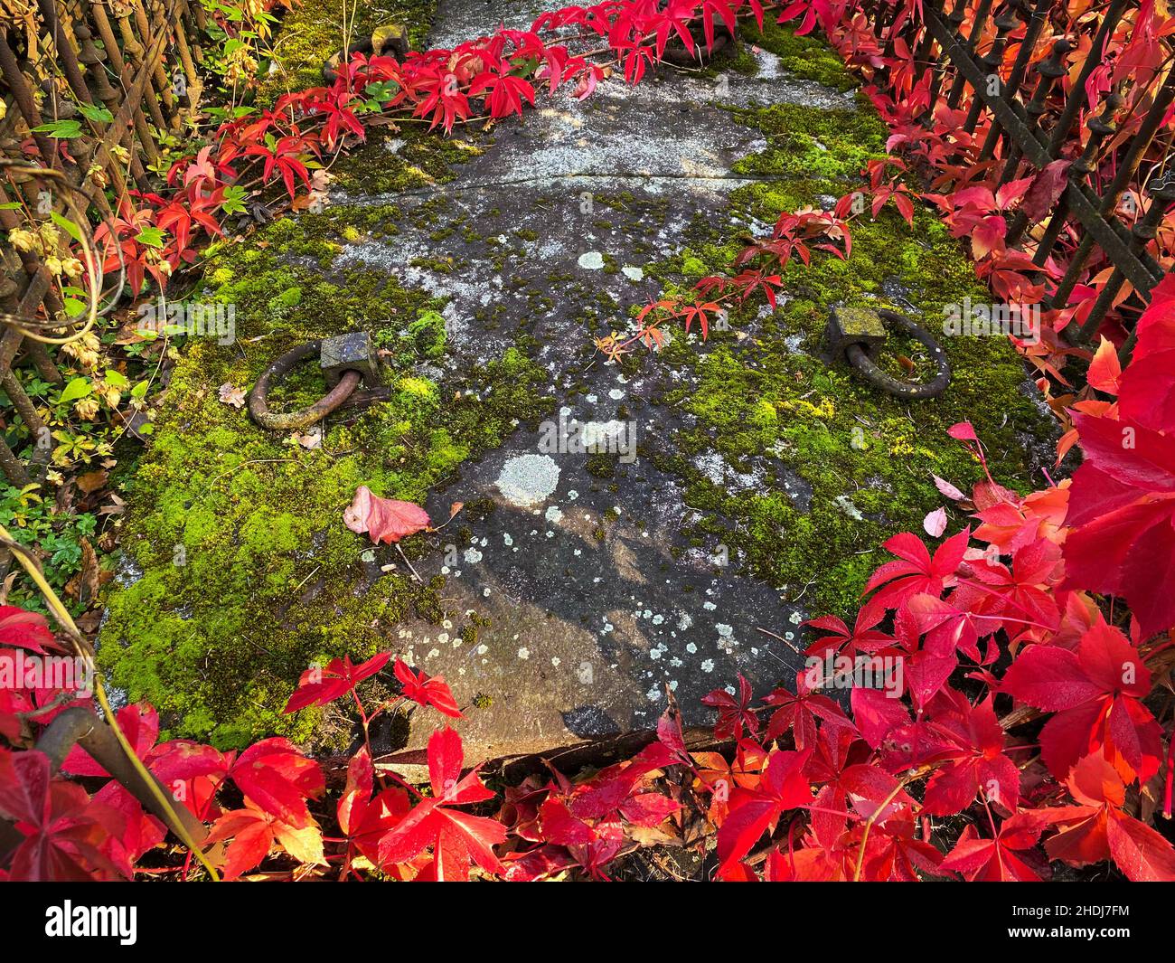 cemetery, tomb, cemeteries, tombs Stock Photo - Alamy