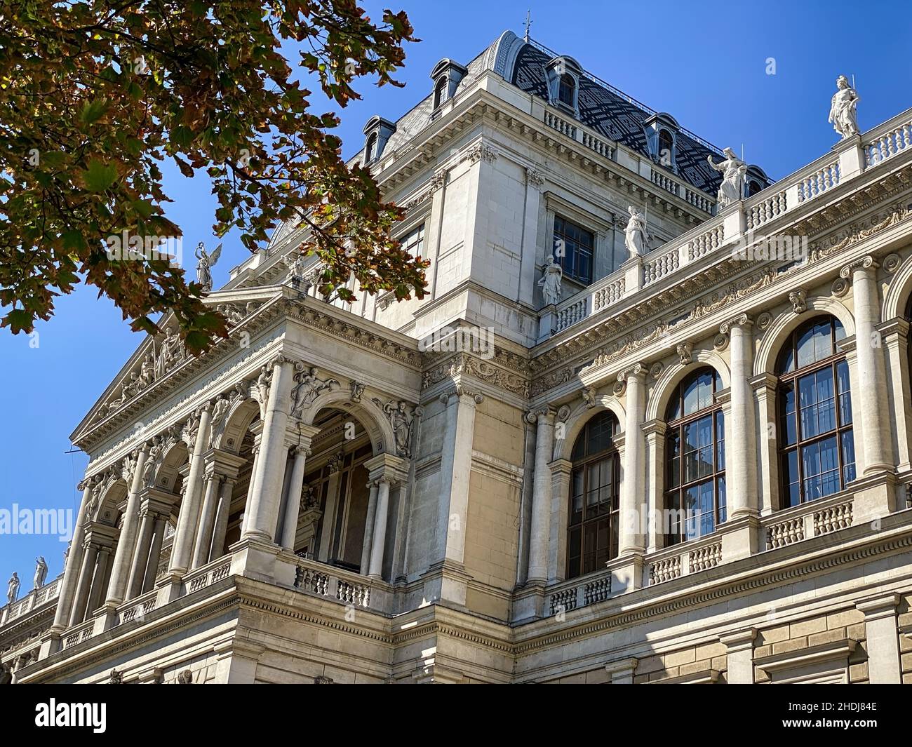 Main university of vienna hi-res stock photography and images - Alamy
