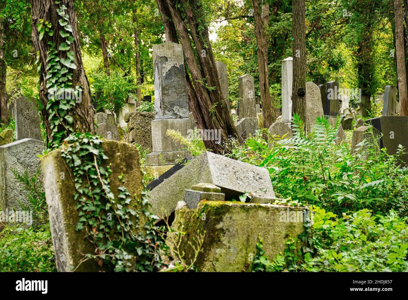 cemetery, gravestone, resting place, cemeteries, gravestones, headstone, headstones, tombstone ...