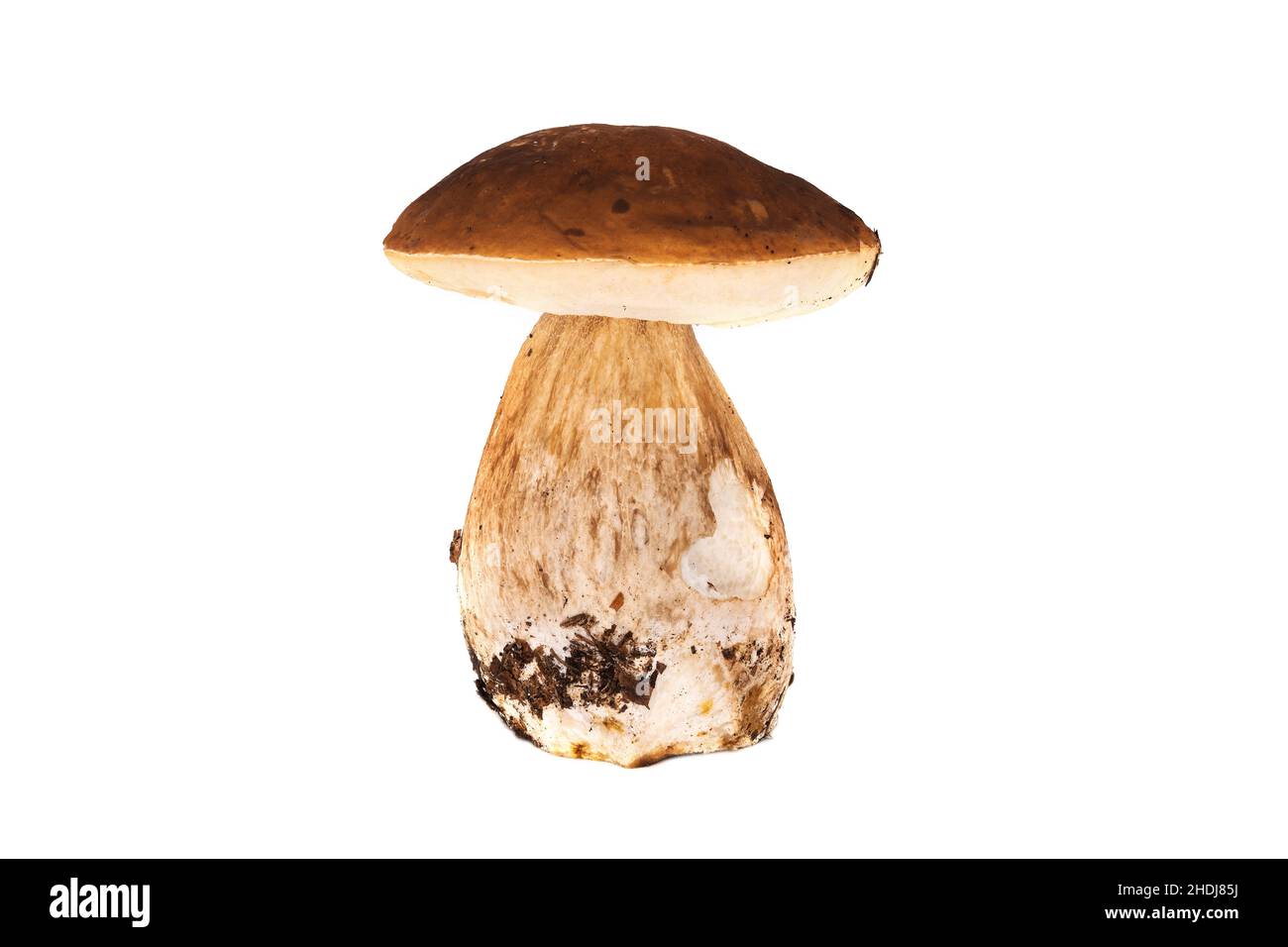 Natures horizontal Cut Out Stock Images & Pictures - Alamy