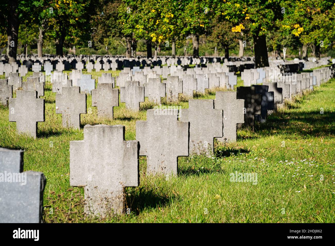 cross, cemetery, memorial, crosses, cemeteries, memorials Stock Photo ...