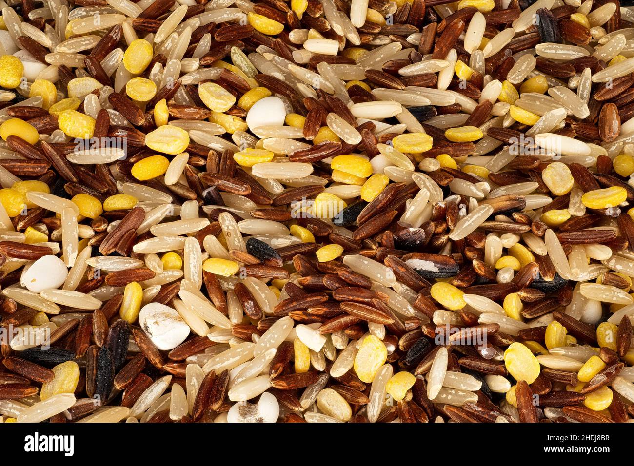 rice, rice grain, rice variety, rices, rice grains Stock Photo - Alamy