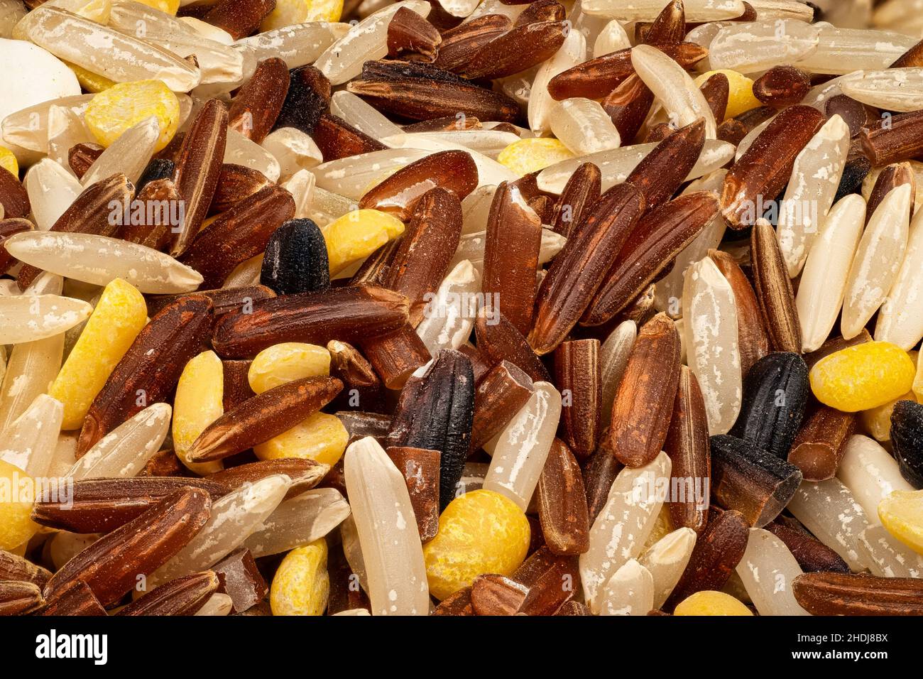 rice, rice grain, rice variety, rices, rice grains Stock Photo - Alamy